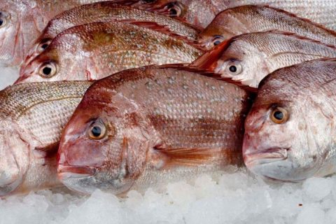 WA Fresh Fish | WestnFresh Seafood